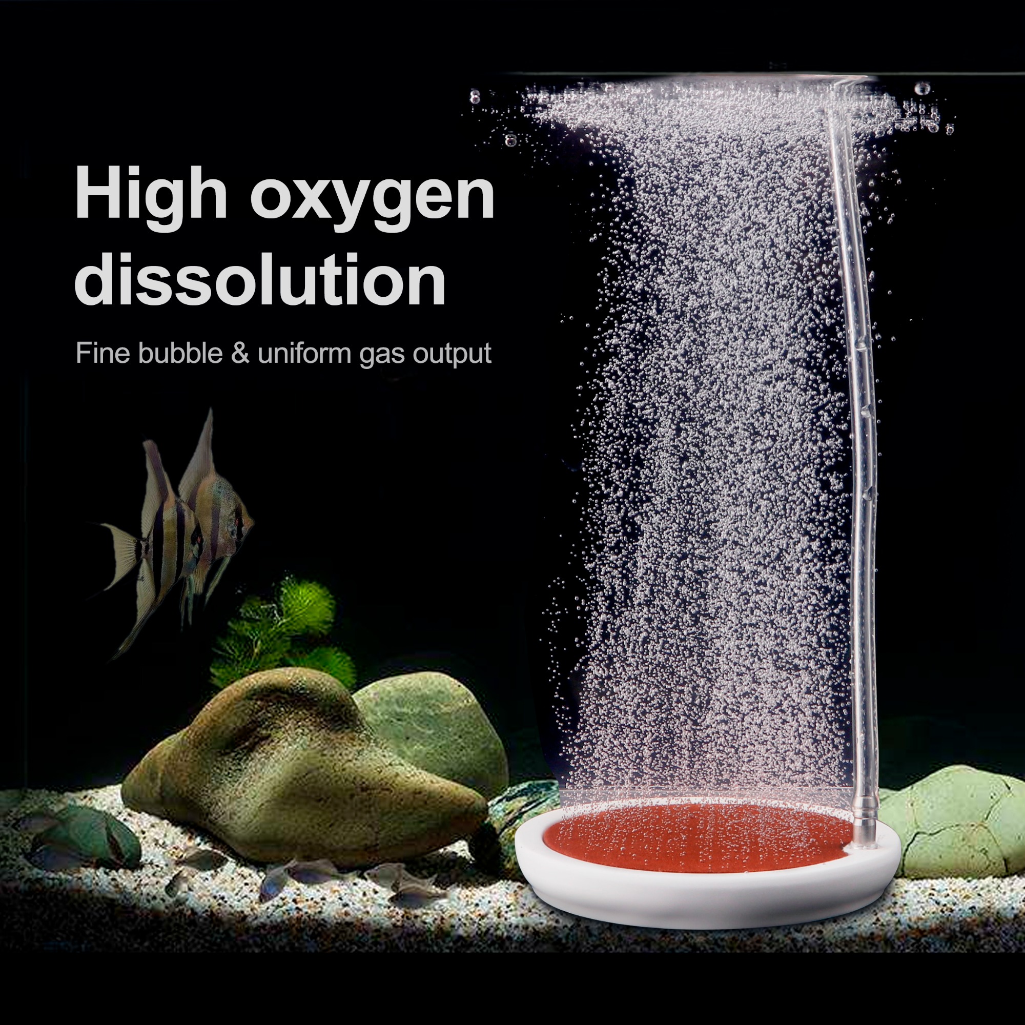 How to set up air stone in aquarium